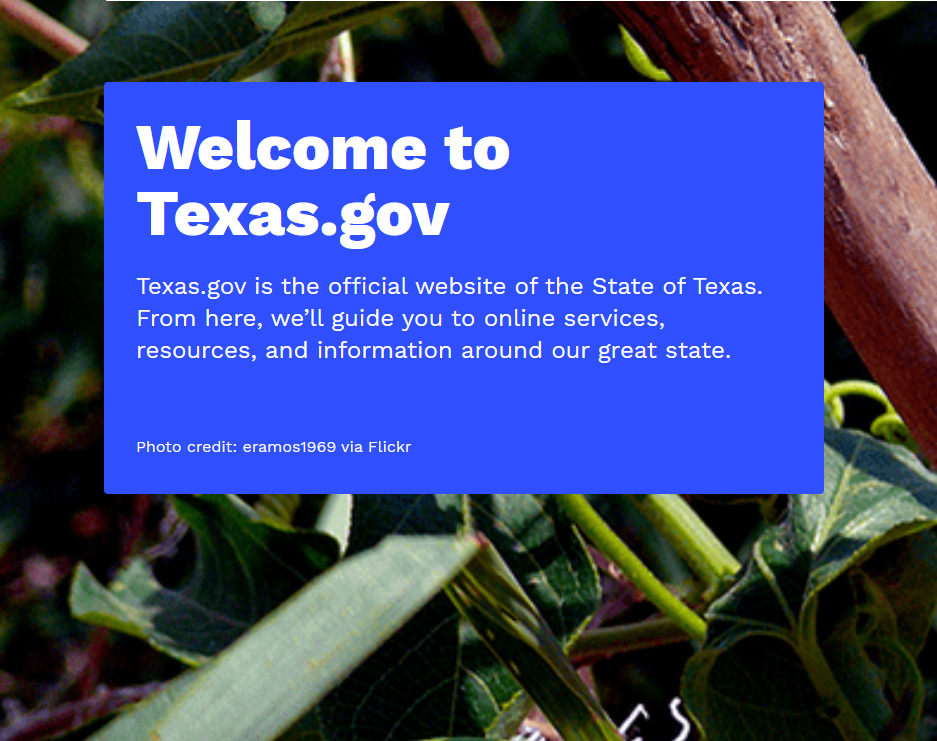 Welcome to Groves Public Library — Groves Public Library